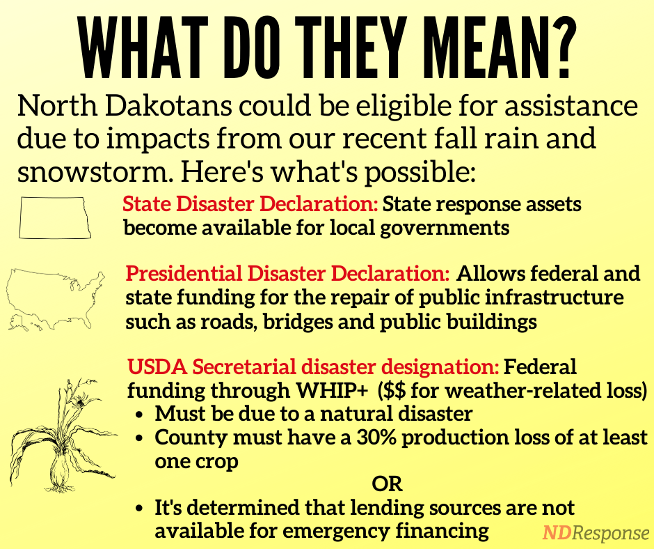 Declarations | ND Response